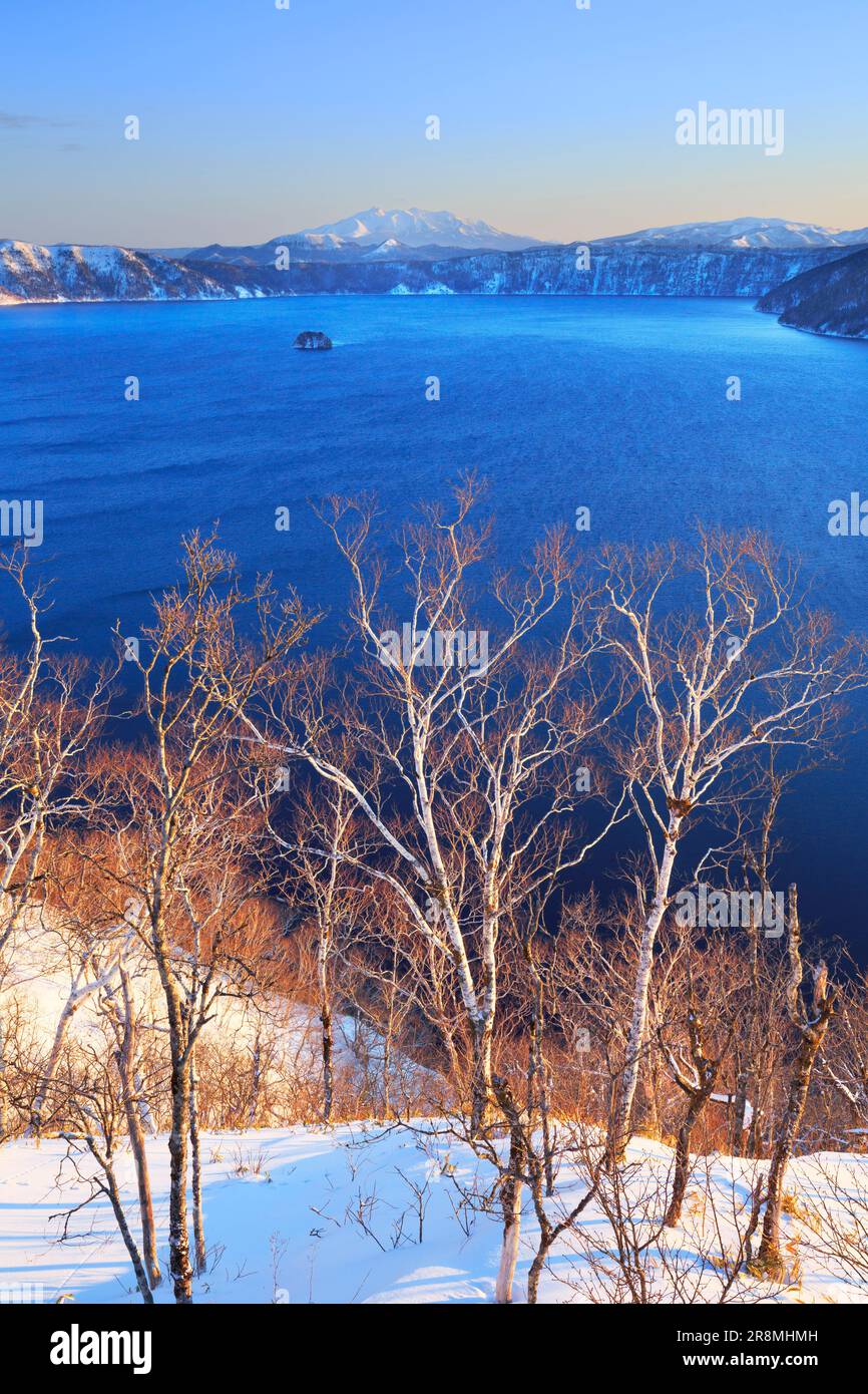 Birch trees and Mashu Ko in the morning sunlight Stock Photo - Alamy