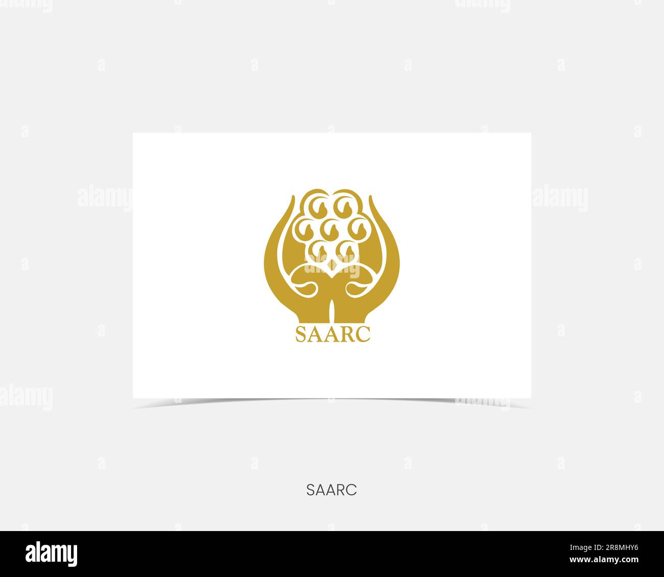 SAARC Rectangle flag icon with shadow Stock Vector Image & Art - Alamy