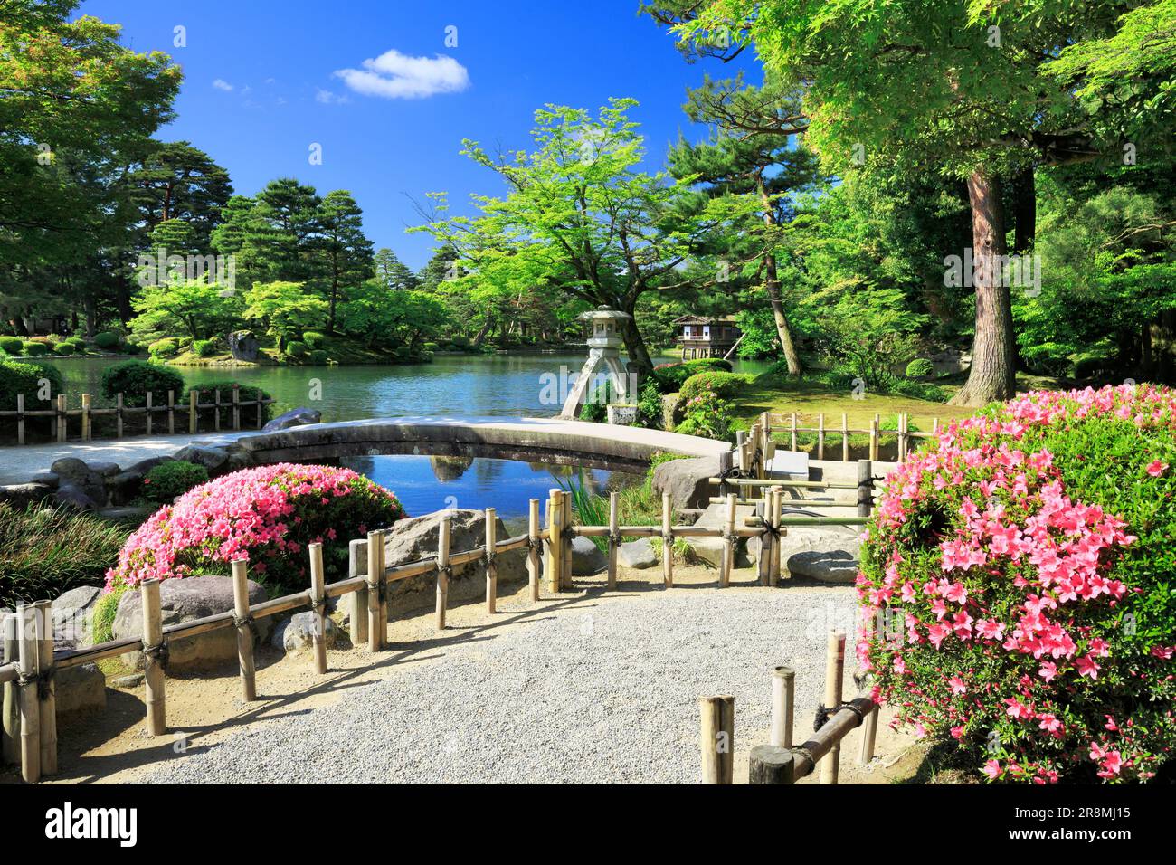 Azalea flower gardens hi-res stock photography and images - Alamy