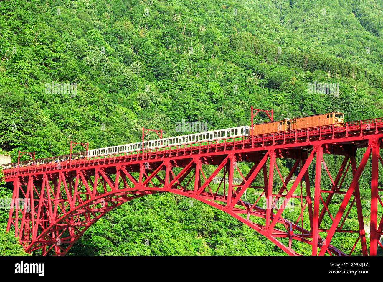 Kurobe Gorge Railway and Shin-Yamahiko Bridge in fresh green Stock ...