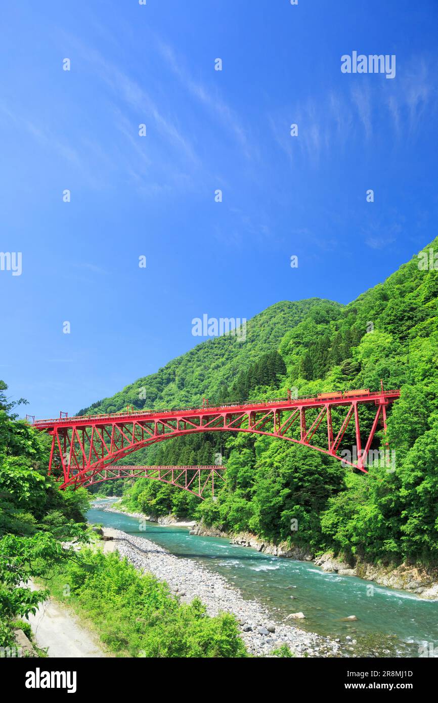 Kurobe Gorge Railway and Shin-Yamahiko Bridge in fresh green Stock ...