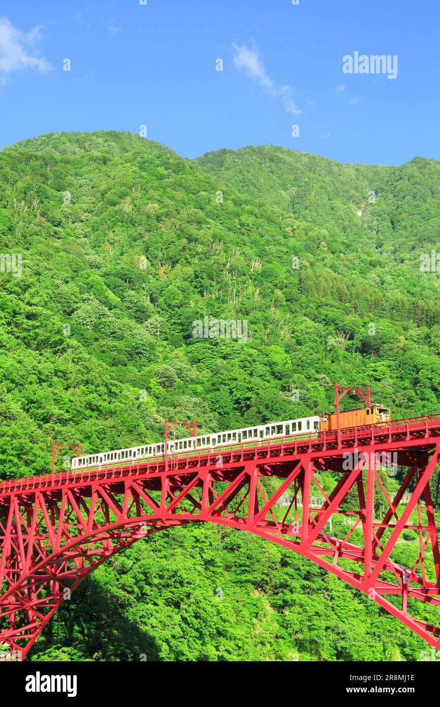 Kurobe Gorge Railway and Shin-Yamahiko Bridge in fresh green Stock ...