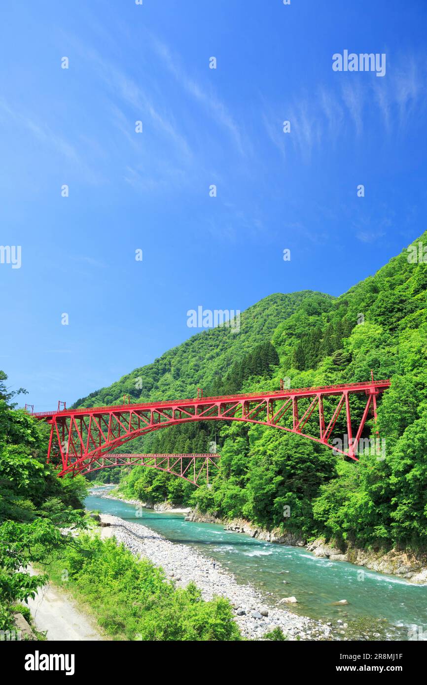 Kurobe Gorge Railway and Shin-Yamahiko Bridge in fresh green Stock ...