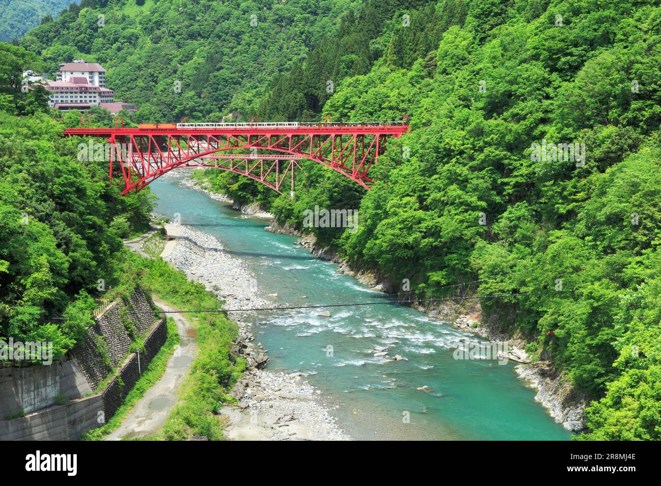 Kurobe Gorge Railway and Shin-Yamahiko Bridge in fresh green Stock ...