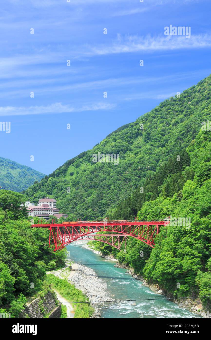 Kurobe Gorge Railway and Shin-Yamahiko Bridge in fresh green Stock ...
