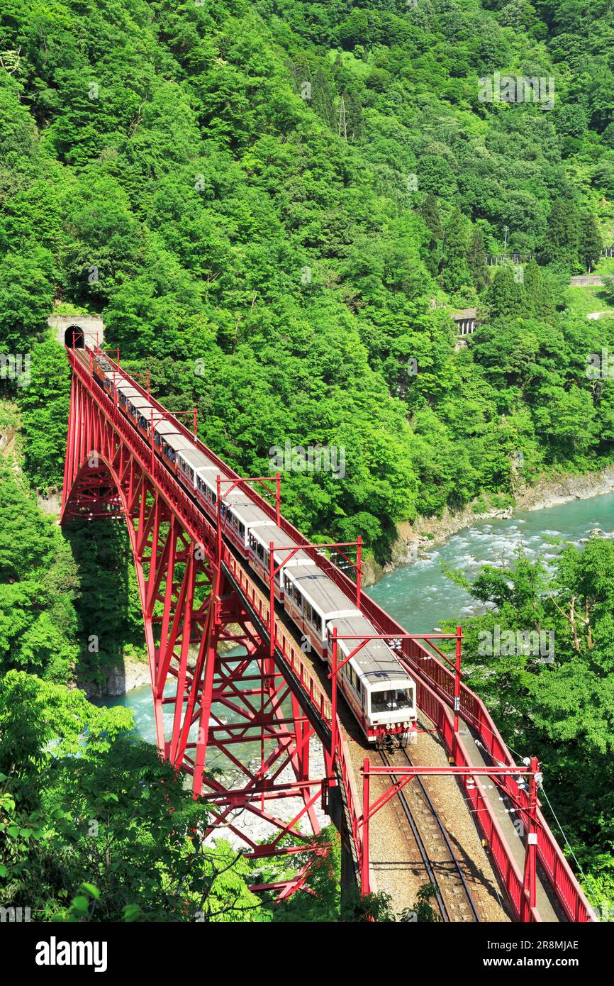 Kurobe Gorge Railway and Shin-Yamahiko Bridge in fresh green Stock ...