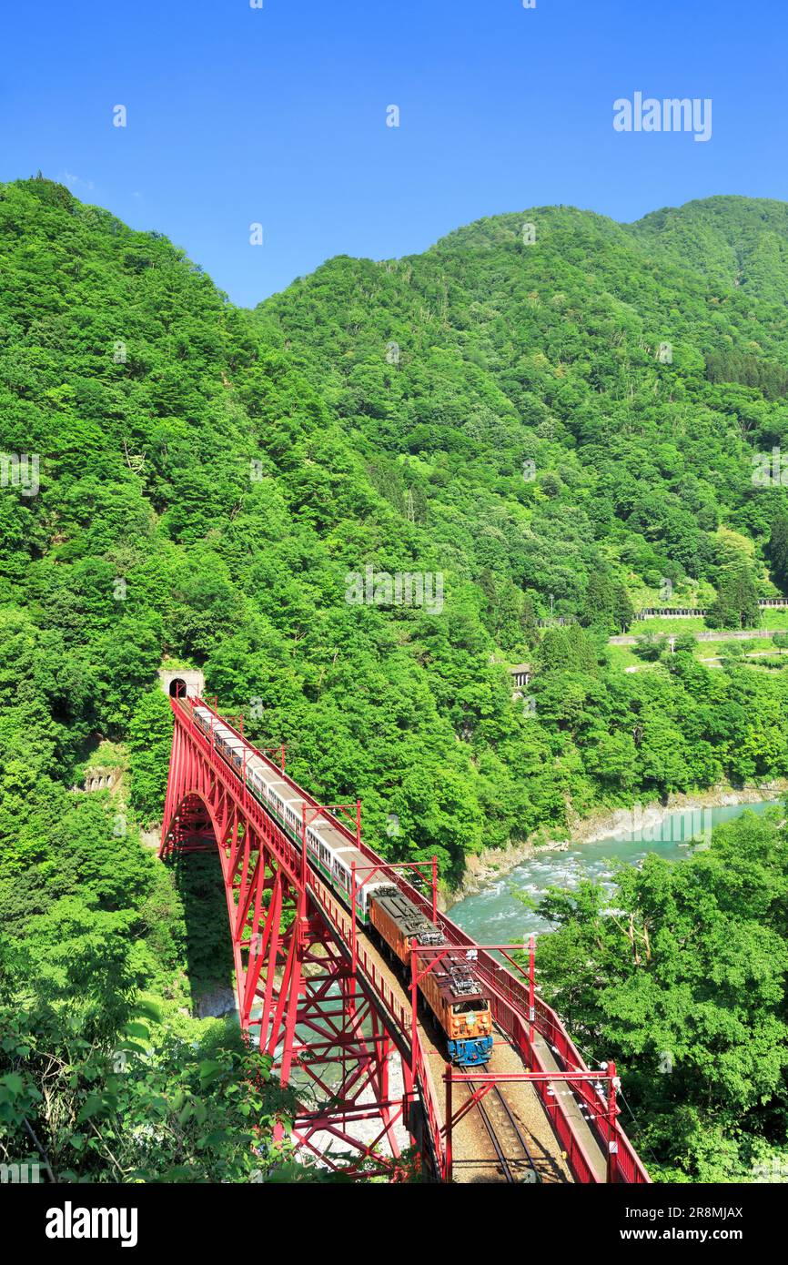 Kurobe Gorge Railway and Shin-Yamahiko Bridge in fresh green Stock ...