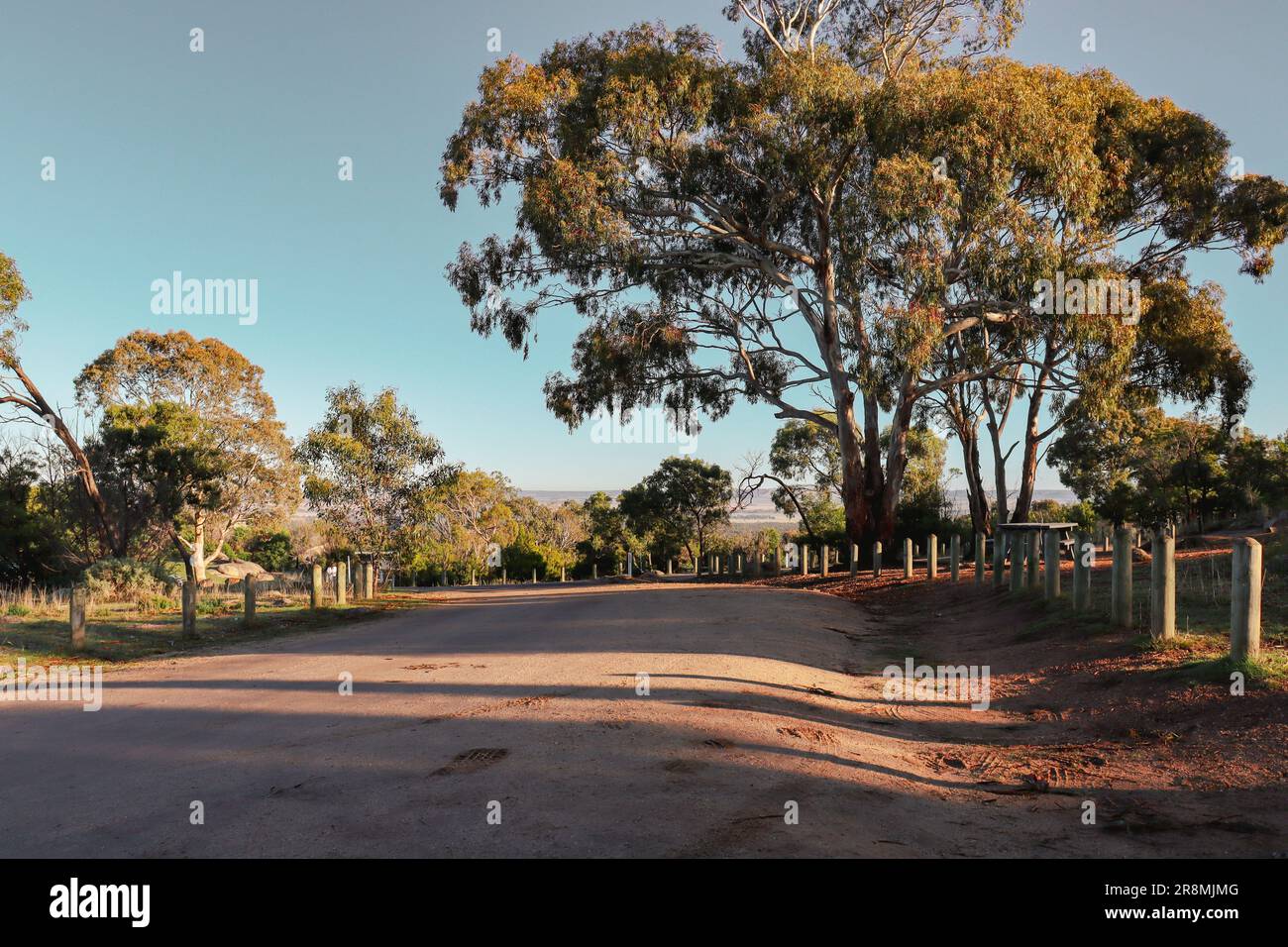 A single-lane street lined with lush trees on either side, creating a ...