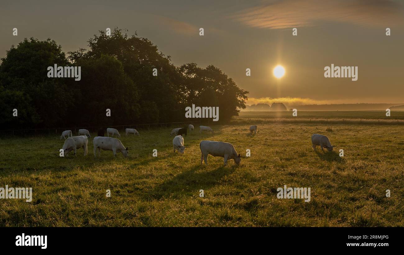 Solstice park hi-res stock photography and images - Alamy