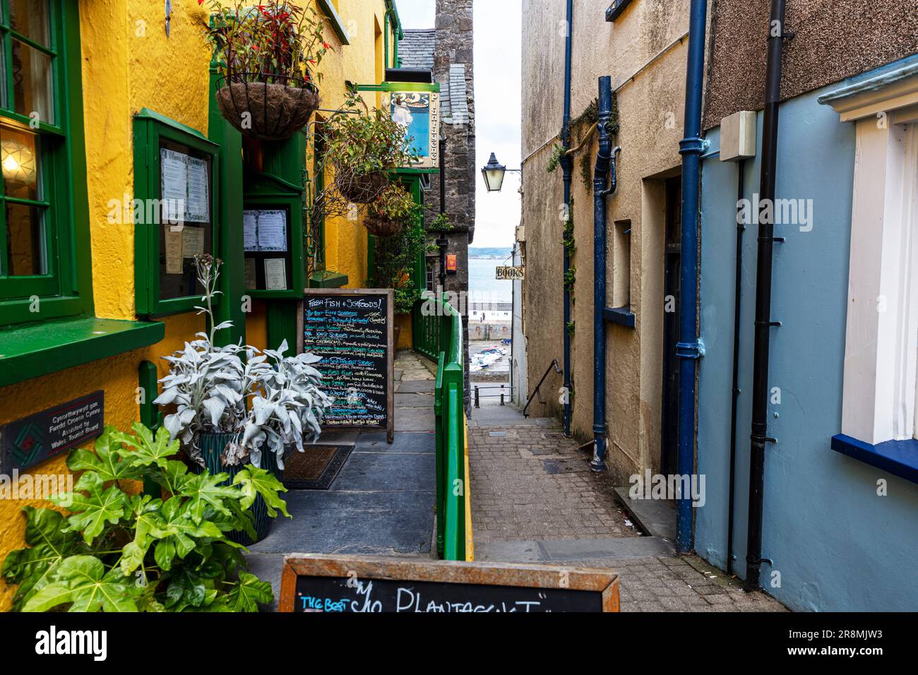 Tenby town narrow streets, Tenby, Pembrokeshire, Wales, Tenby town ...