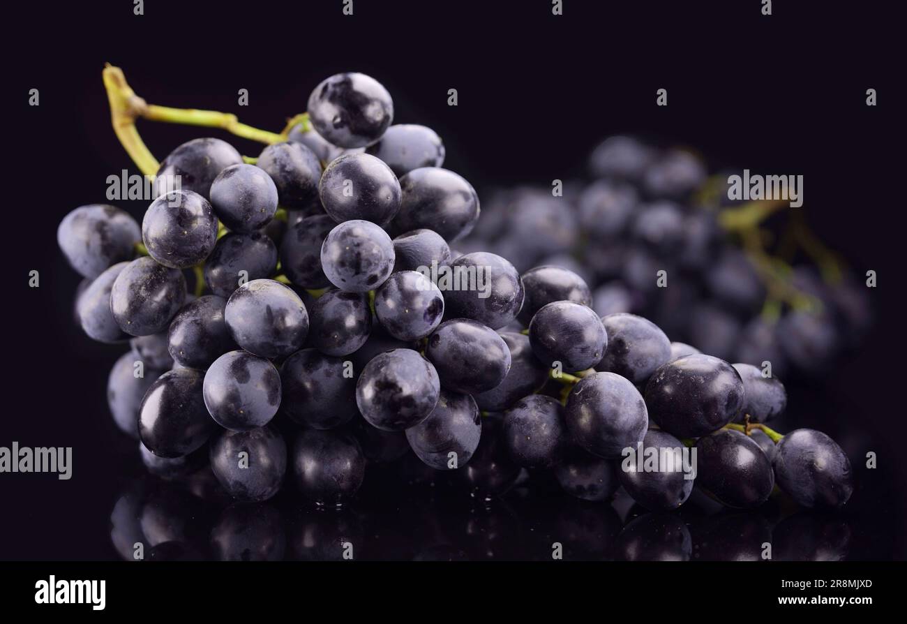 Grape poster hi-res stock photography and images - Alamy