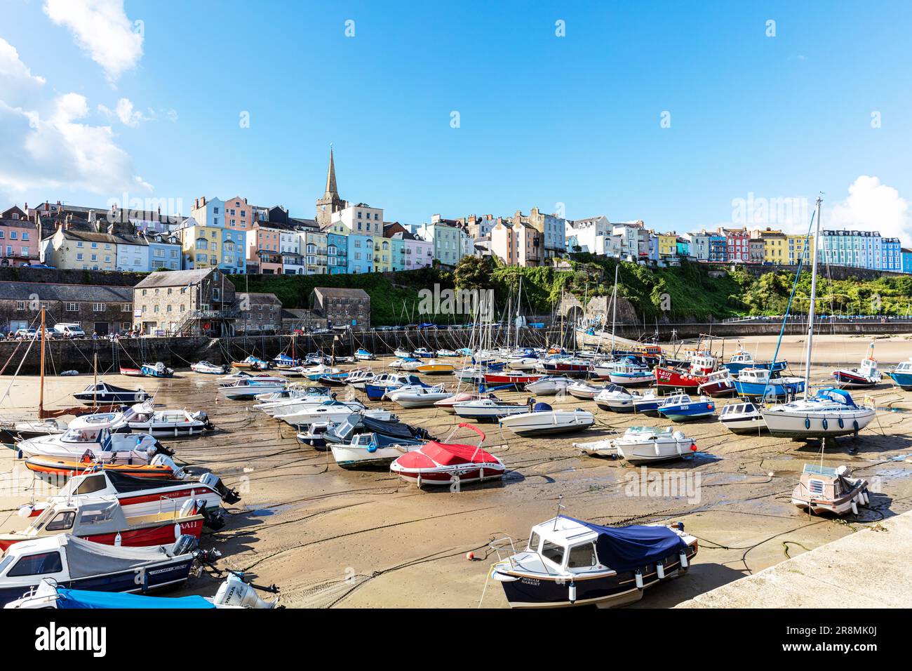 Tenby harbour and town houses overlooking, Tenby, Pembrokeshire, Wales ...