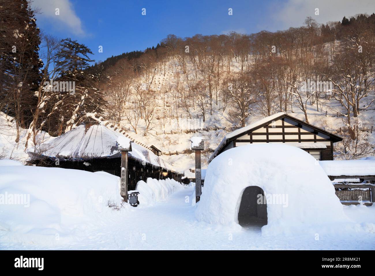 Tsuru japan hi-res stock photography and images - Alamy