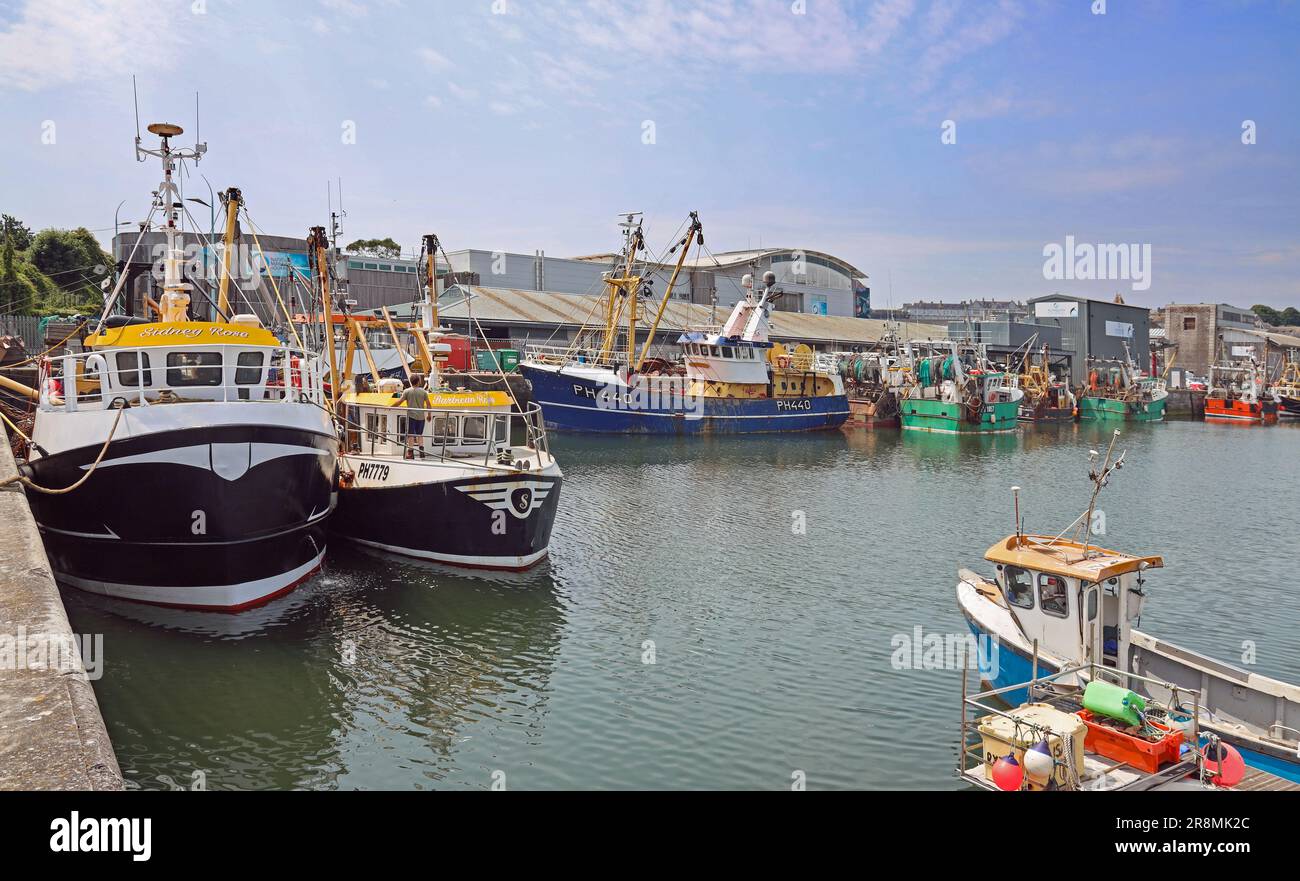 Berthed fishing boats at the Plymouth Fish Market on Sutton Harbour ...