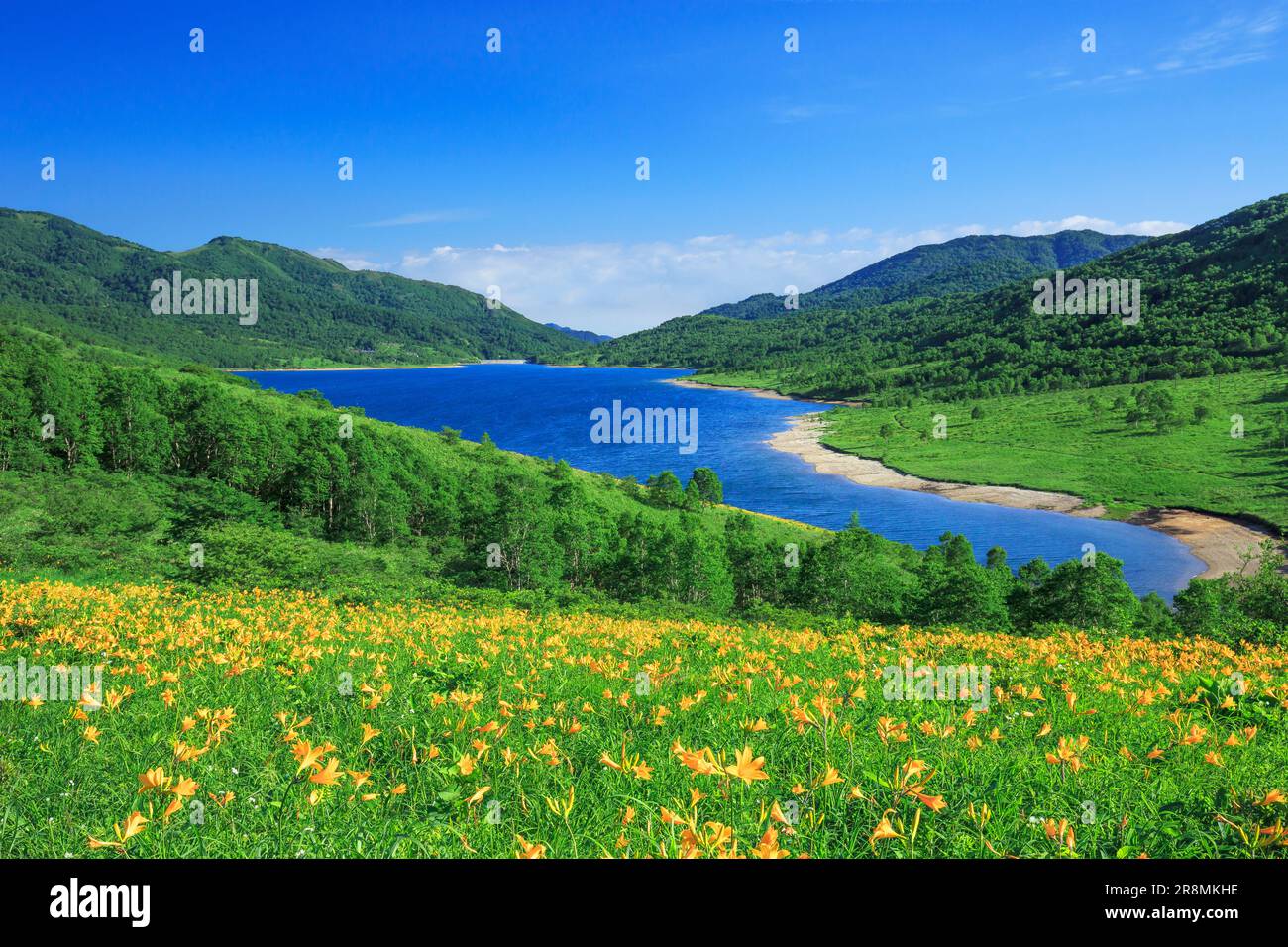 Lake Notan and Nikkoukisuge Stock Photo - Alamy
