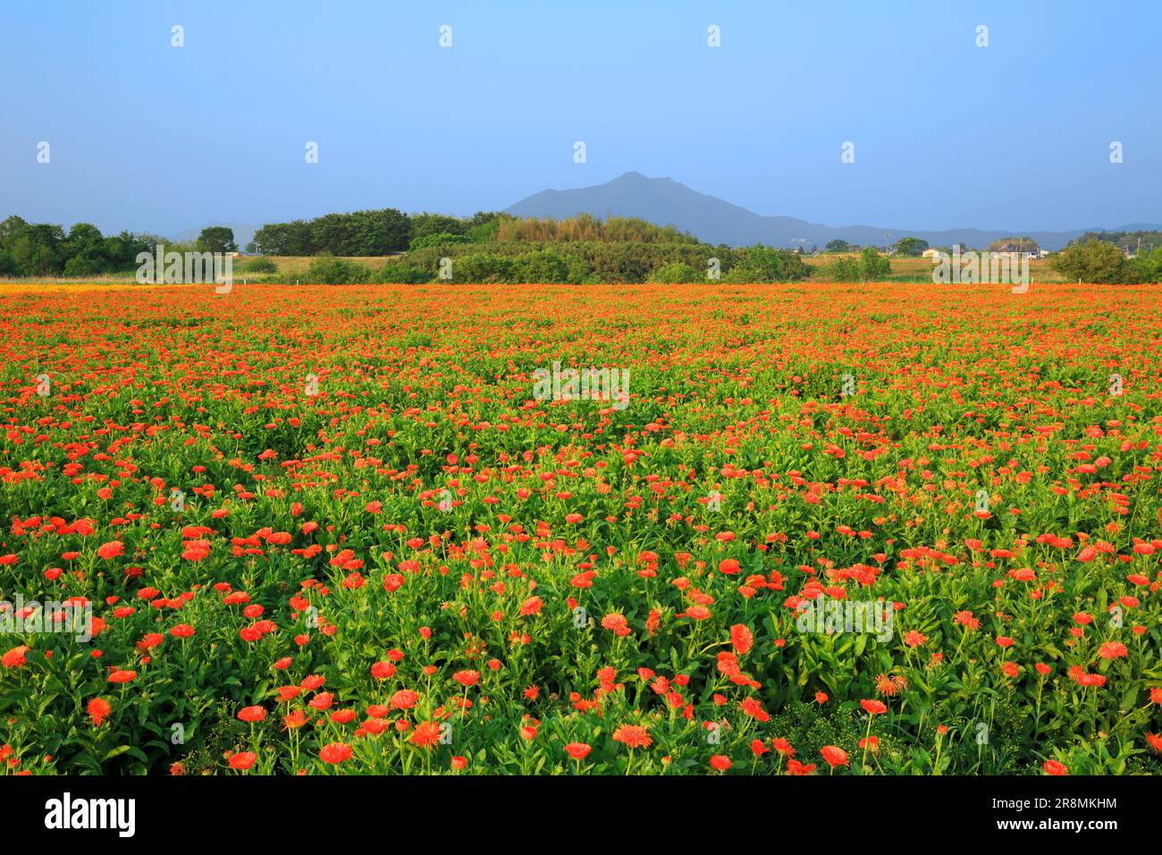 Kogai River Fureai Park Stock Photo - Alamy
