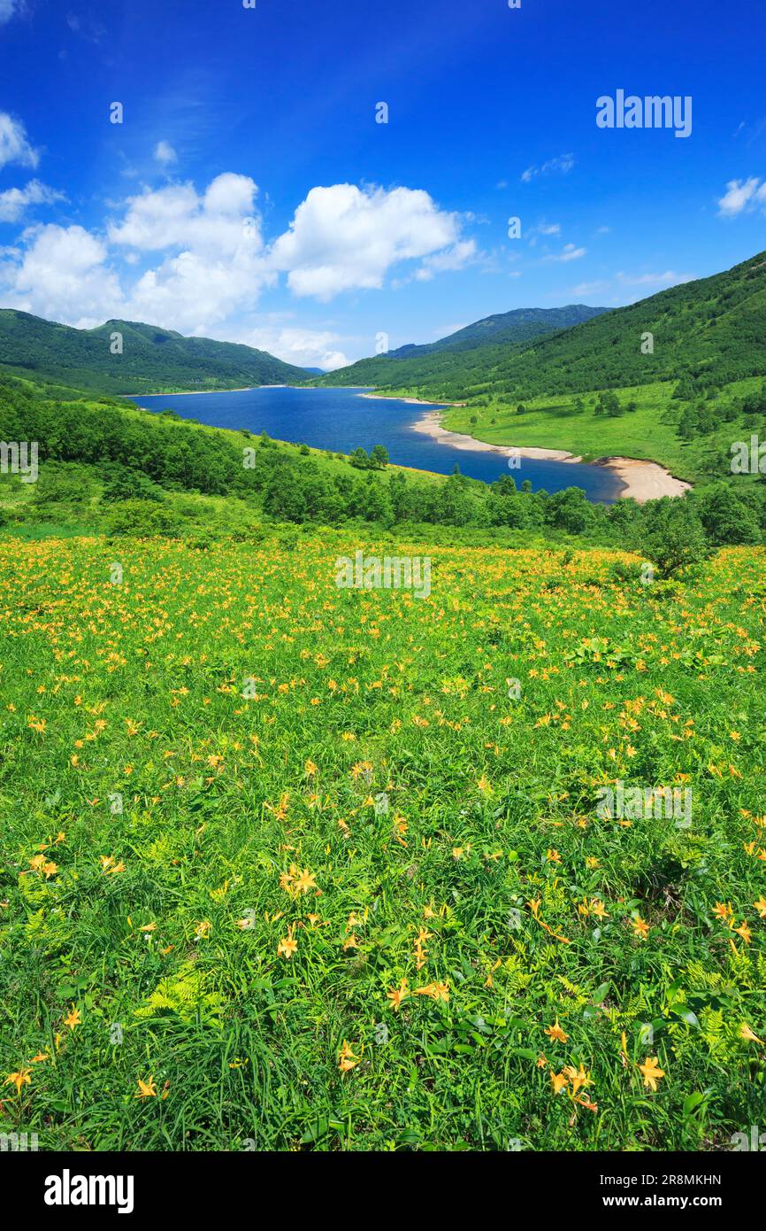 Lake Notan and Nikkoukisuge Stock Photo - Alamy