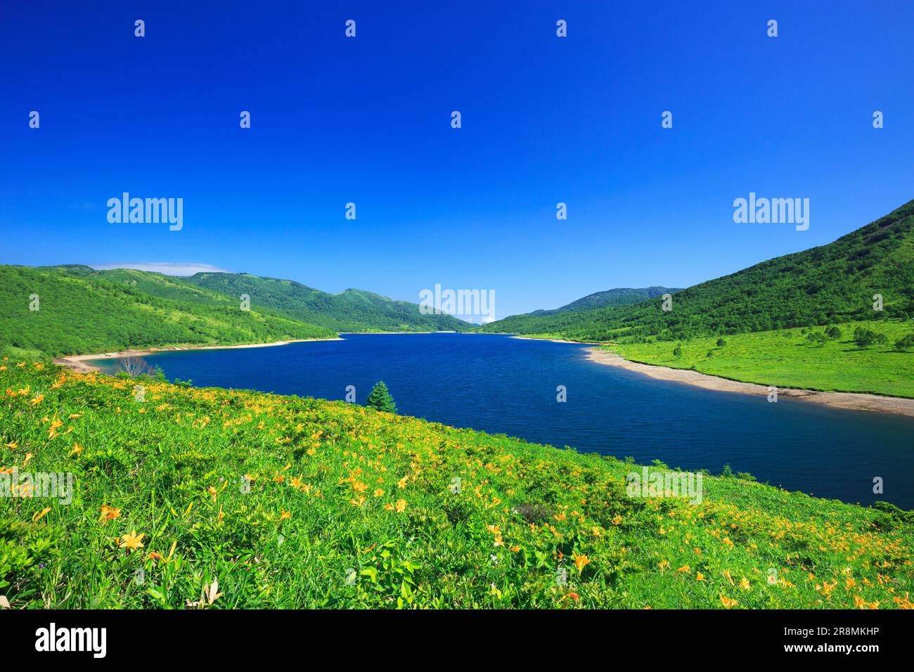 Lake Notan and Nikkoukisuge Stock Photo - Alamy