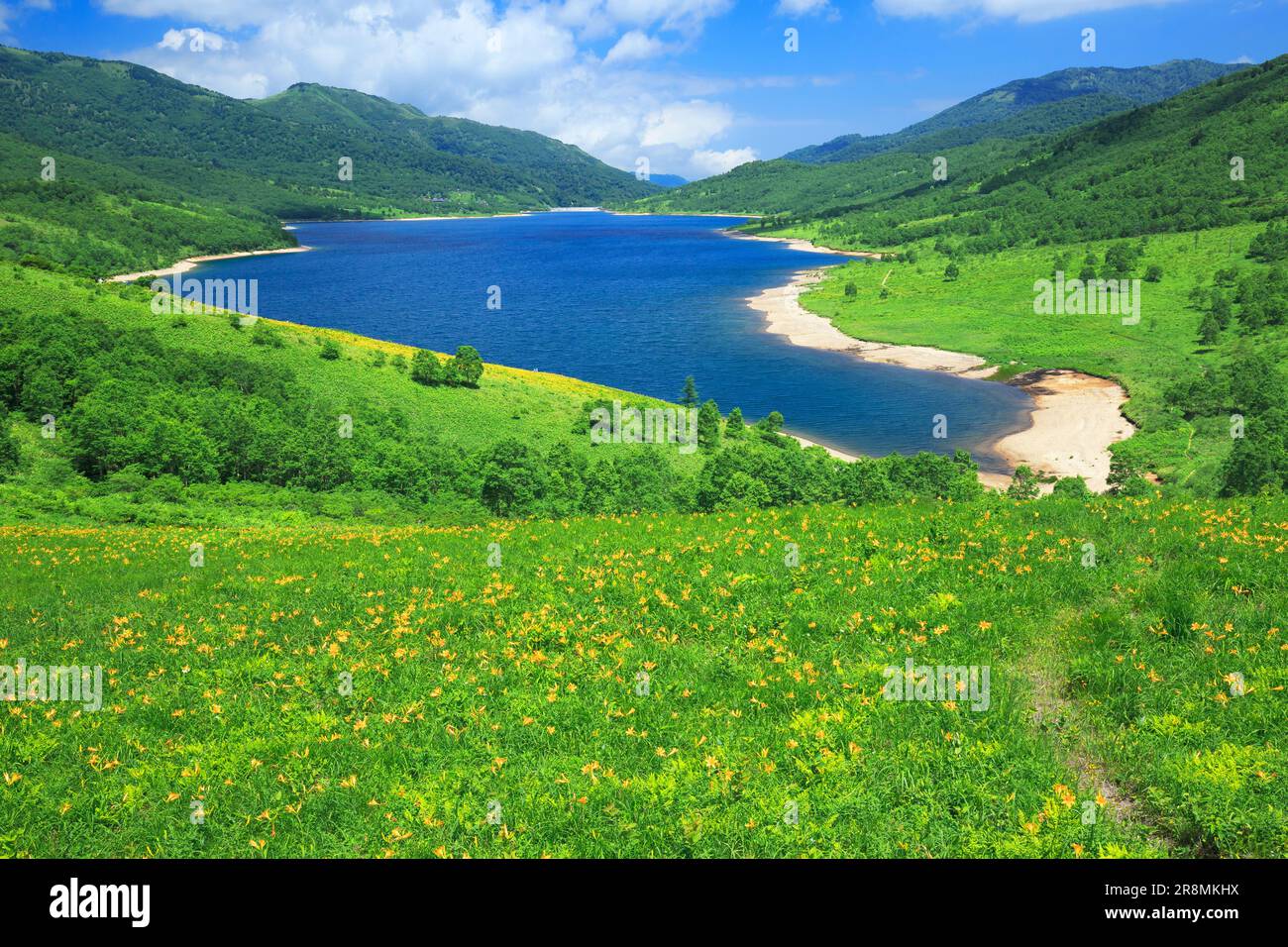Notan hi-res stock photography and images - Alamy