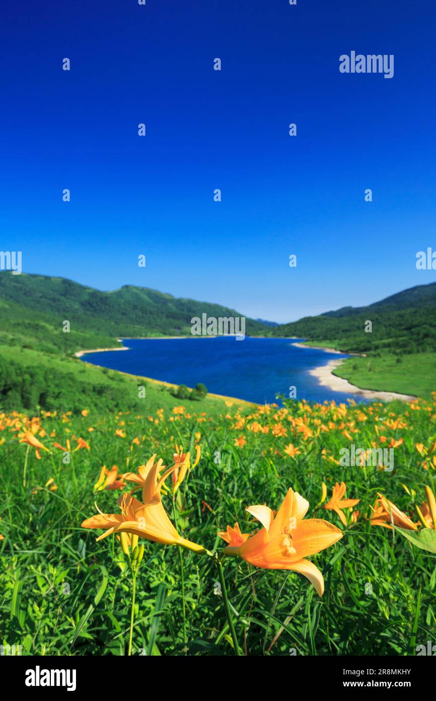 Lake Notan and Nikkoukisuge Stock Photo - Alamy