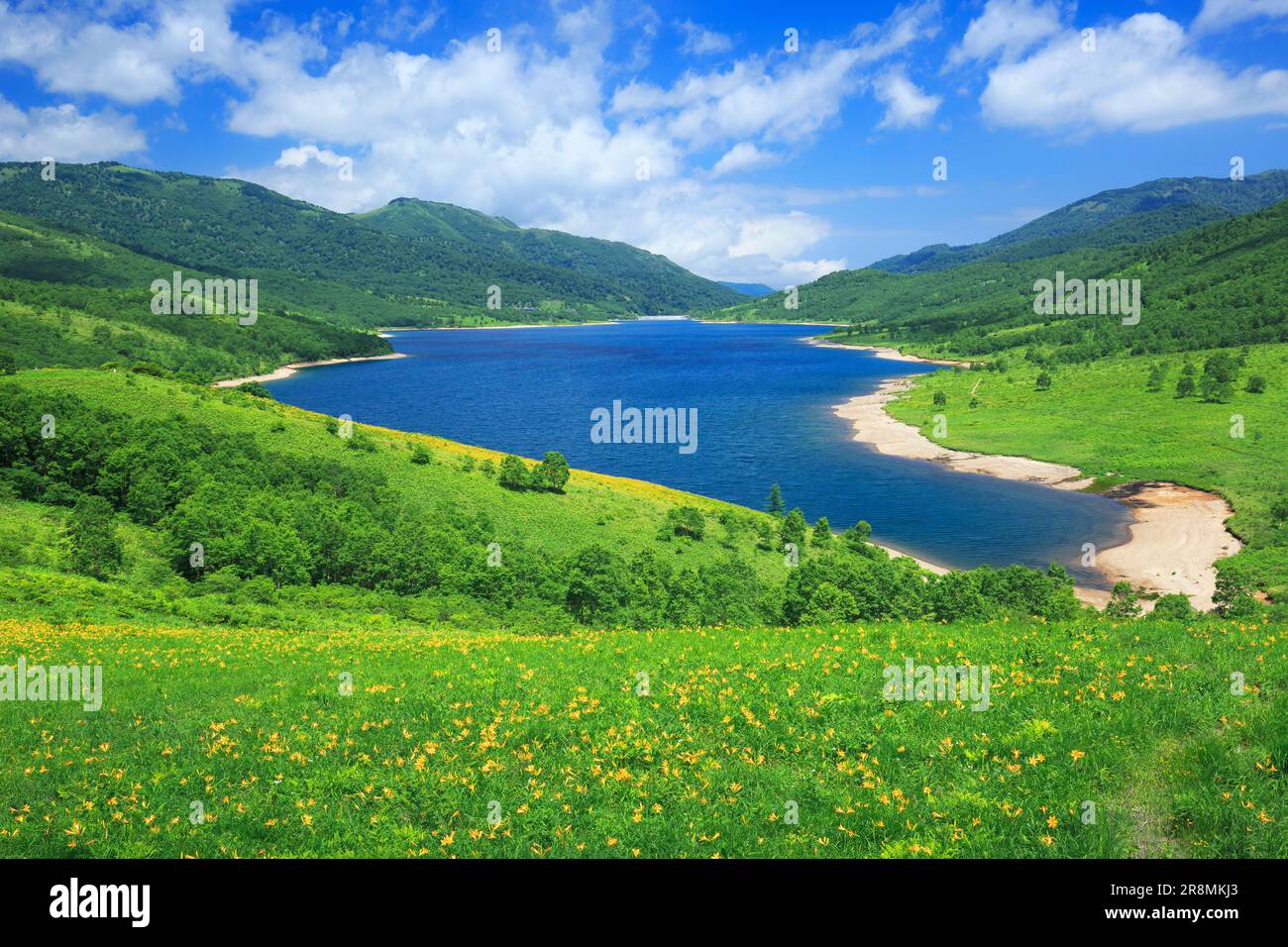 Lake Notan and Nikkoukisuge Stock Photo - Alamy