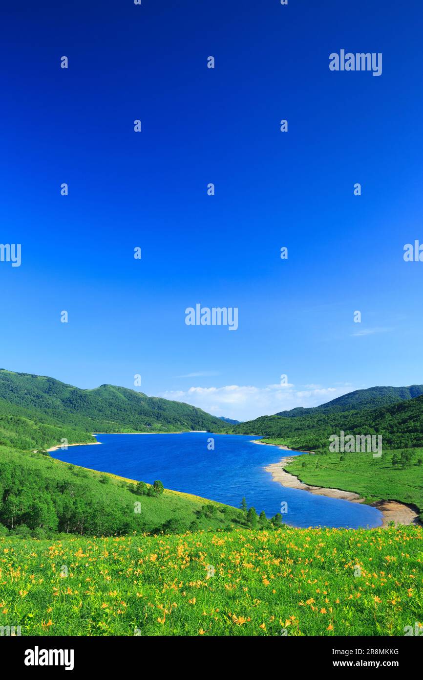 Notan hi-res stock photography and images - Alamy