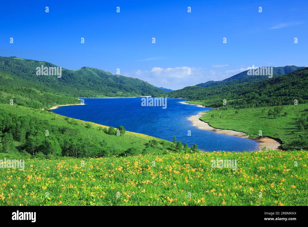 Lake Notan and Nikkoukisuge Stock Photo - Alamy