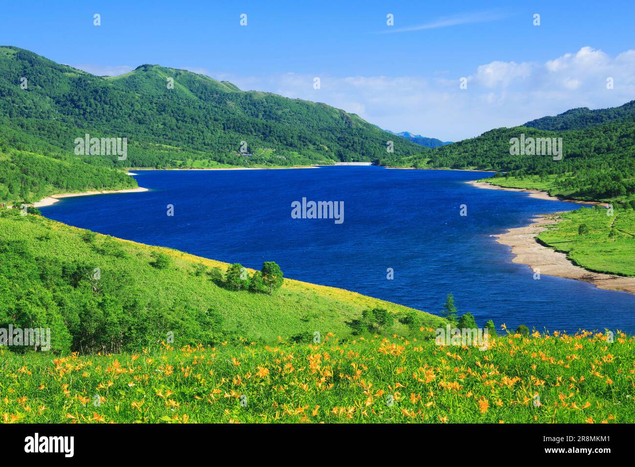 Lake Notan and Nikkoukisuge Stock Photo - Alamy