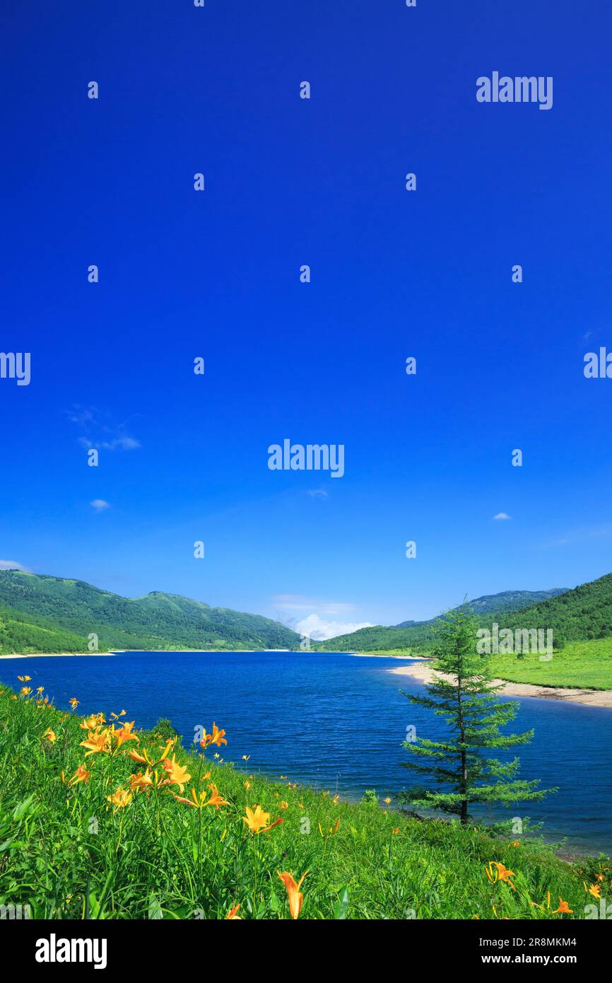 Notan hi-res stock photography and images - Alamy