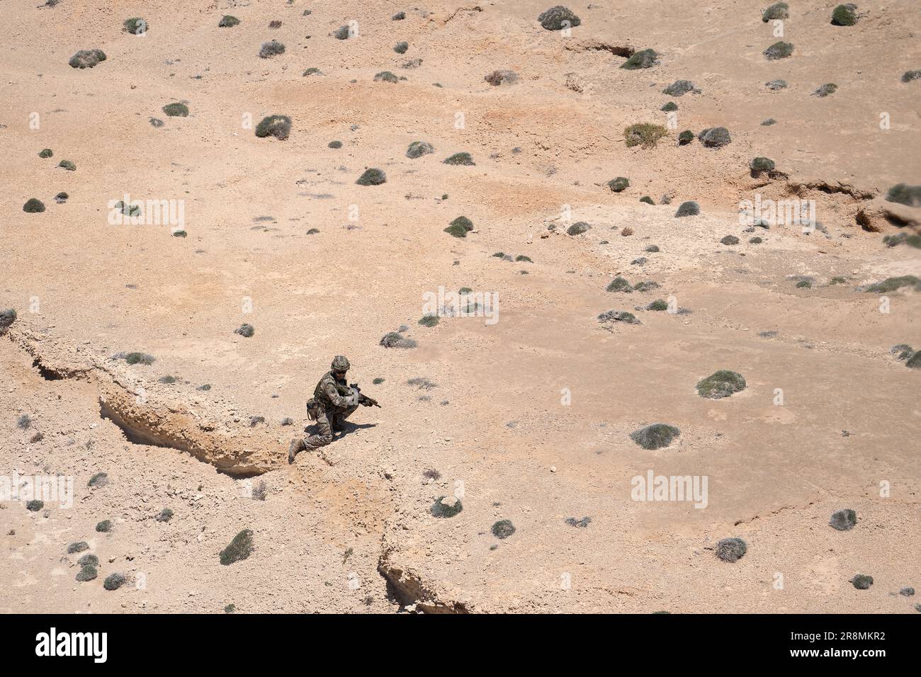 A member of the RAF Regiment after deploying from a Puma helicopter of ...