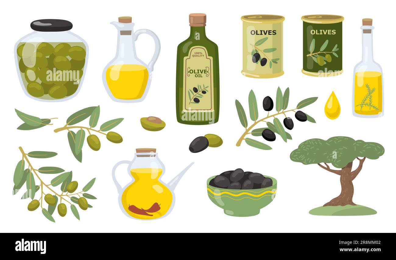 Olive vector illustration set Stock Vector Image & Art - Alamy