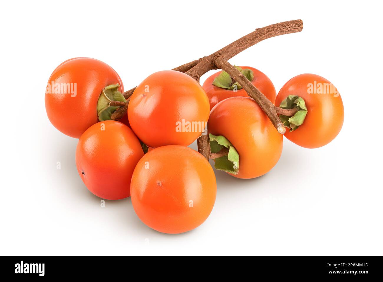 Persimmon fruit on the branch isolated on white background with full ...
