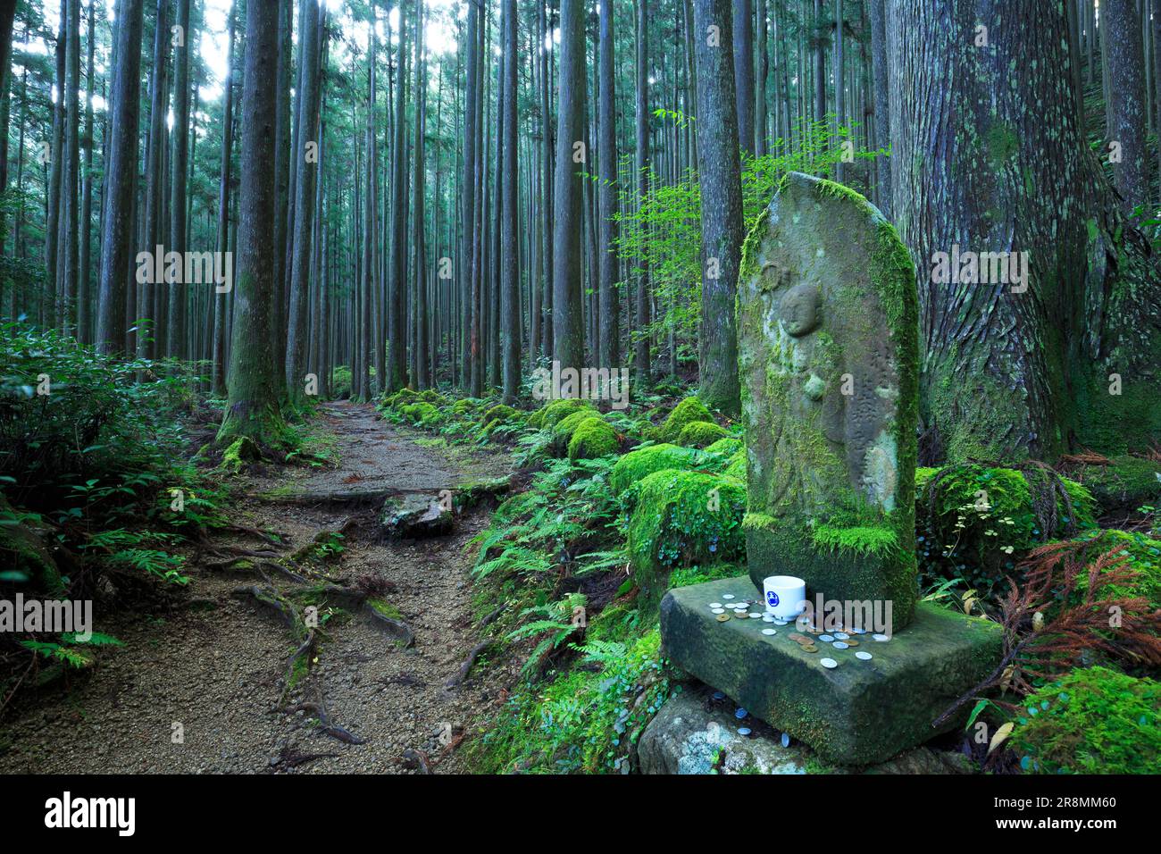 Kumano kodo autumn hi-res stock photography and images - Alamy