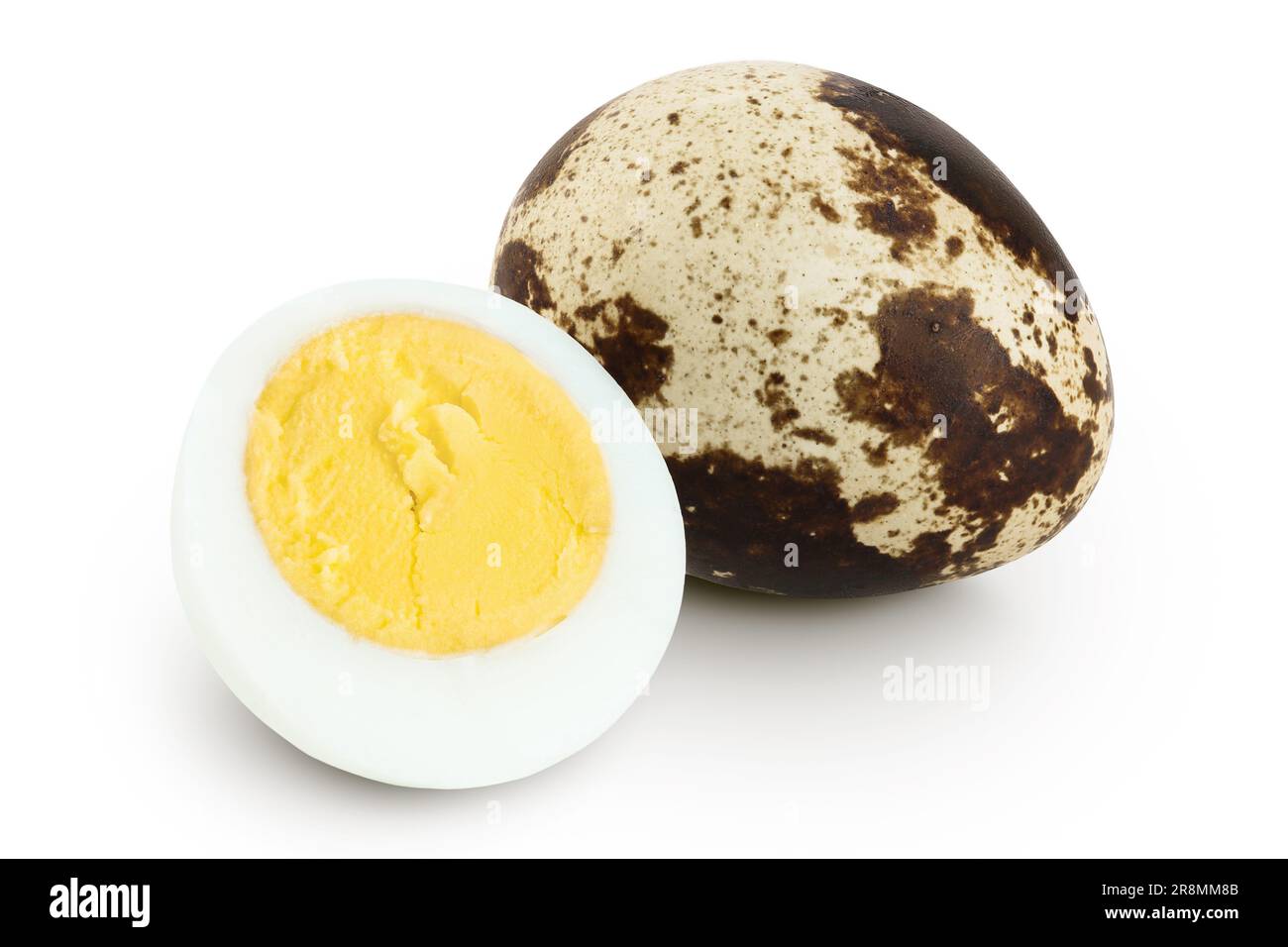 boiled quail egg isolated on white background with full depth of field ...
