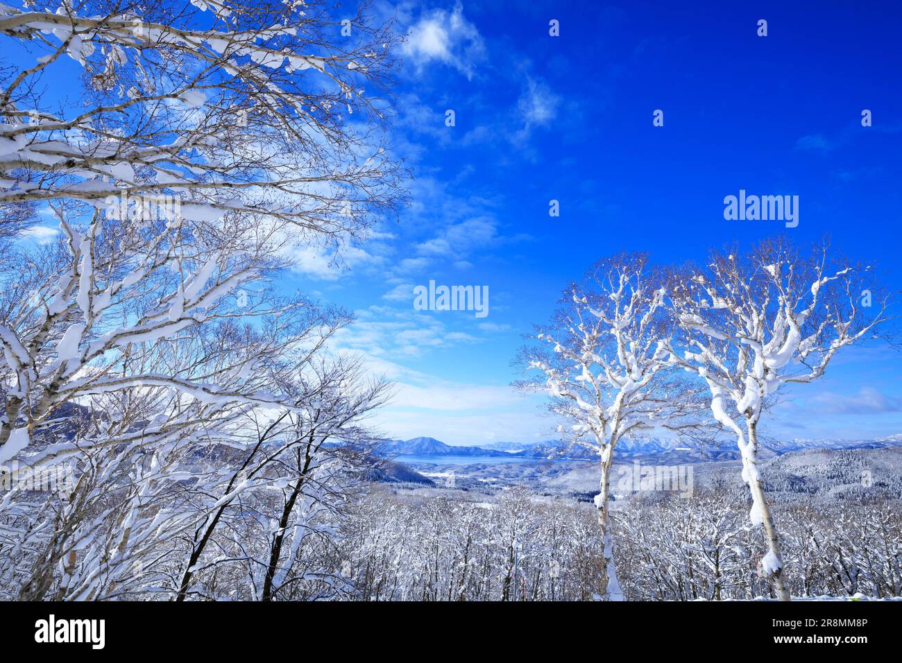 View of Lake Tazawa from Tazawako Plateau Stock Photo - Alamy