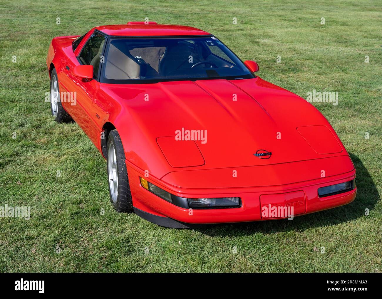 Corvette Stingray 1995