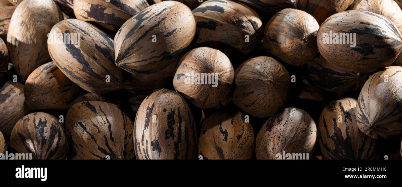 Stack of pecans in the shell seen up close Stock Photo - Alamy
