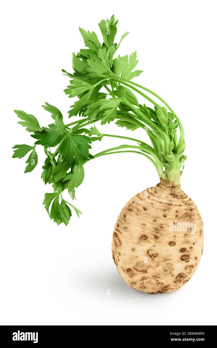 Fresh celery root with leaf isolated on white background Stock Photo ...