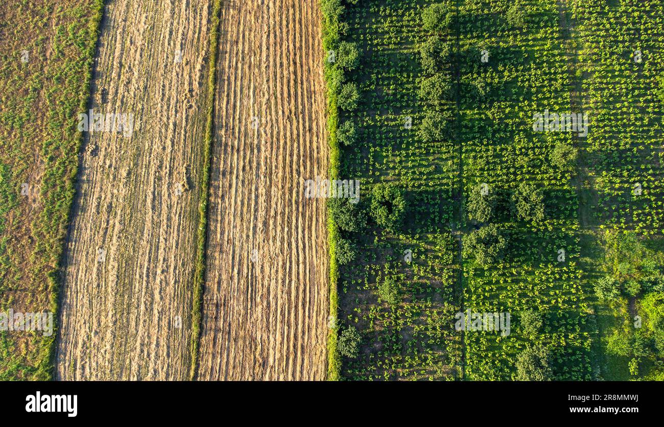 Aerial view agricultural field. Rows of soil before planting ...