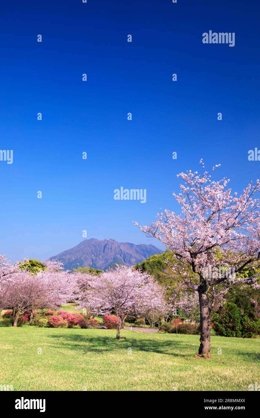 Isoyama park hi-res stock photography and images - Alamy