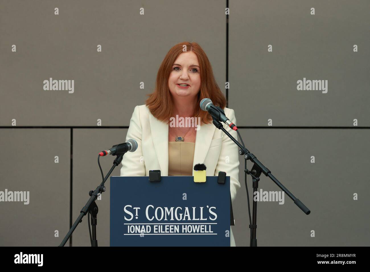 Jayne Brady, Head of the Northern Ireland civil servants, at the ...
