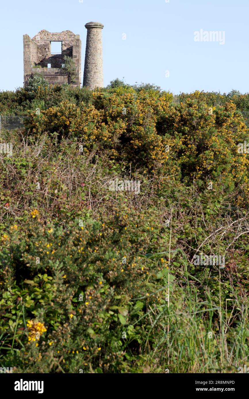 The remnants of Cook's Kitchen Mine in Brea, Cornwall Stock Photo - Alamy