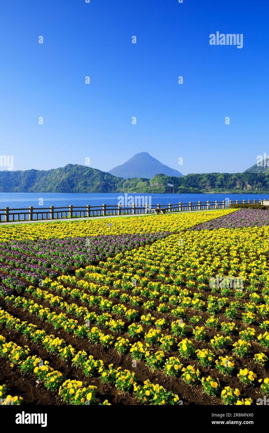 Lake Ikeda and Mount Kaimondake Stock Photo - Alamy