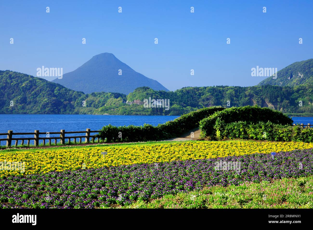 Lake Ikeda and Mount Kaimondake Stock Photo - Alamy