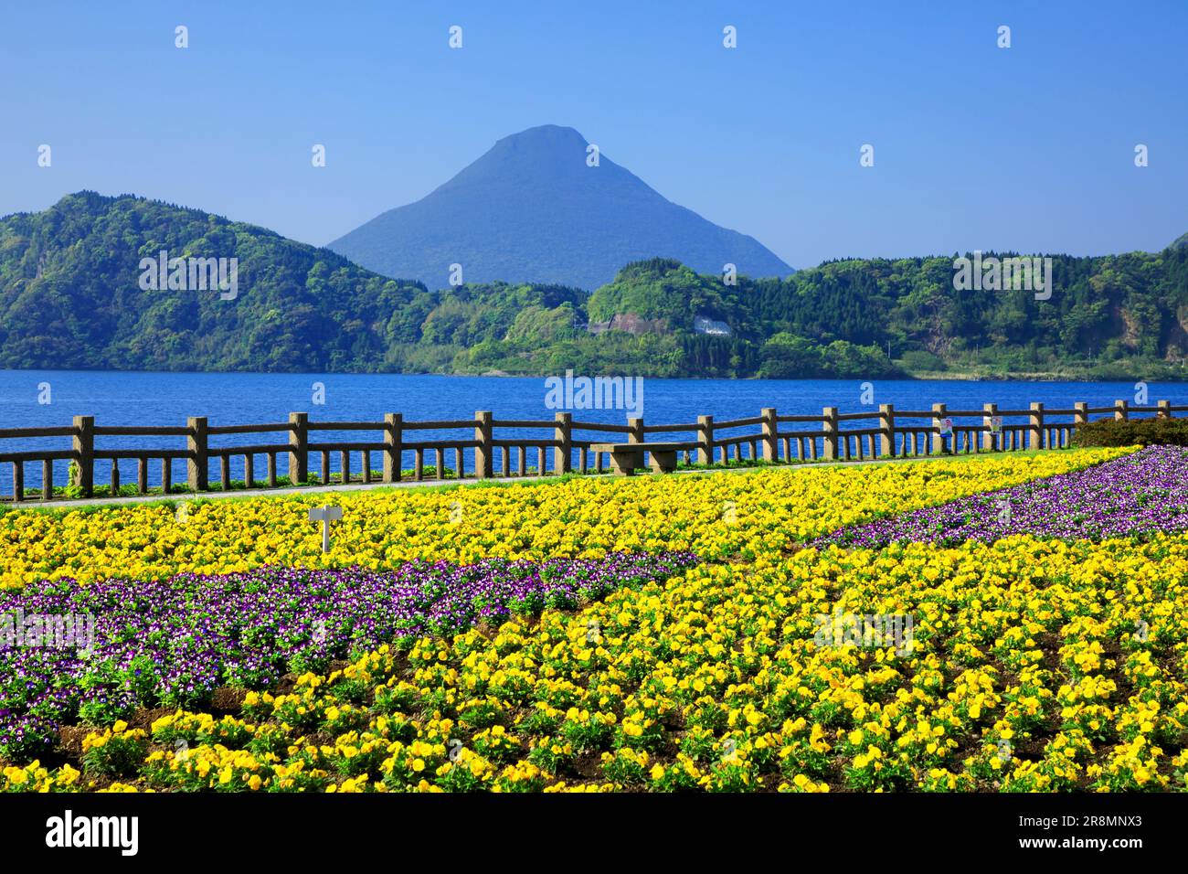 Lake Ikeda and Mount Kaimondake Stock Photo - Alamy
