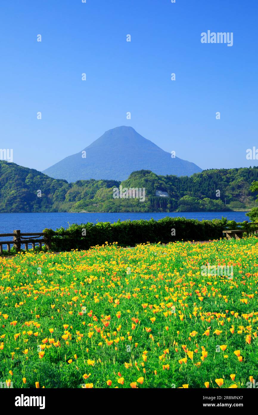 Lake Ikeda and Mount Kaimondake Stock Photo - Alamy
