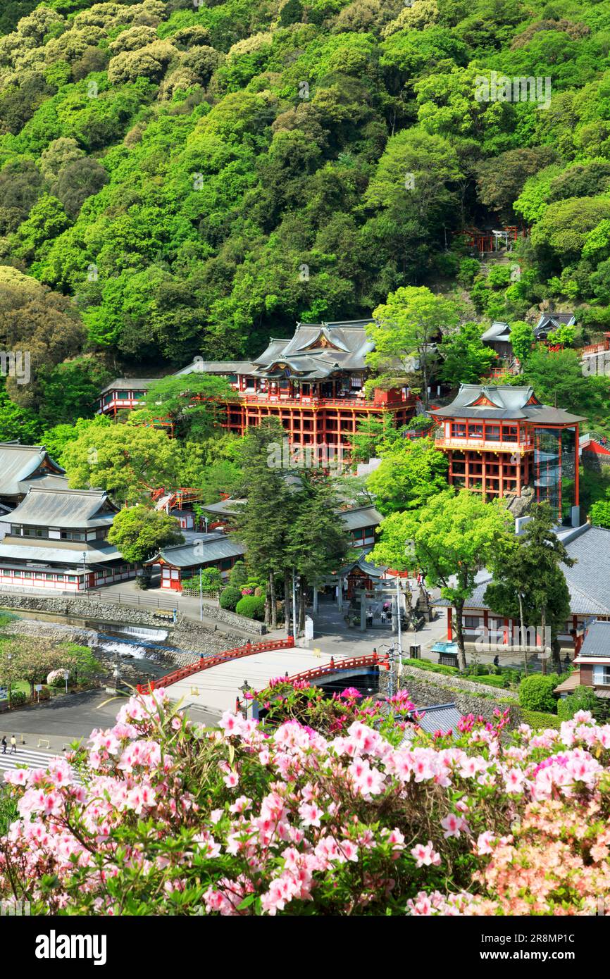 Yutoku Inari Shrine Stock Photo - Alamy