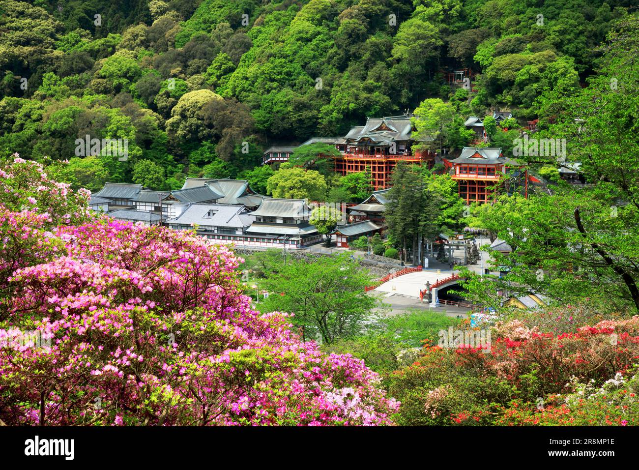 Yutoku Inari Shrine Stock Photo - Alamy