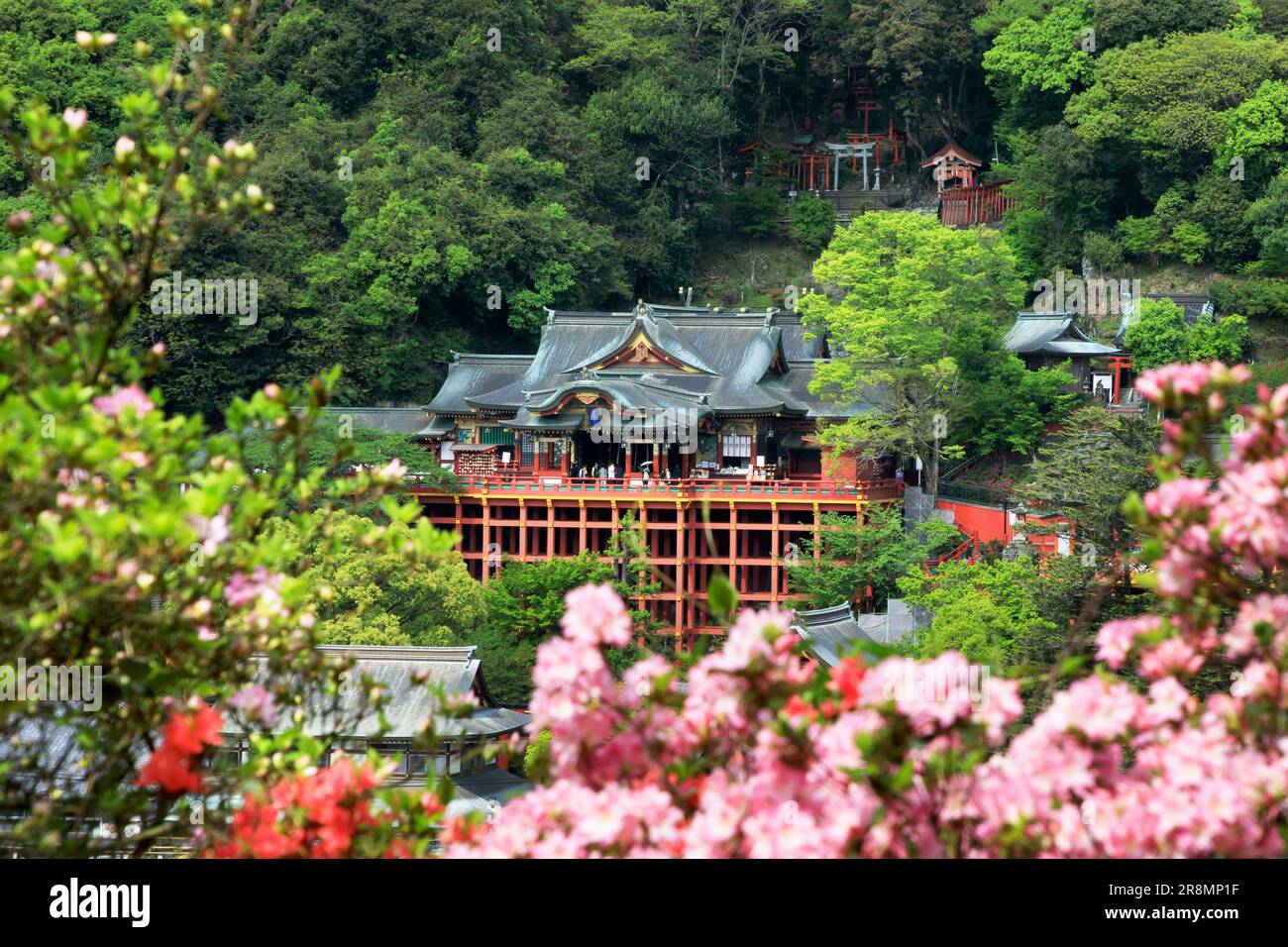 Yutoku Inari Shrine Stock Photo - Alamy