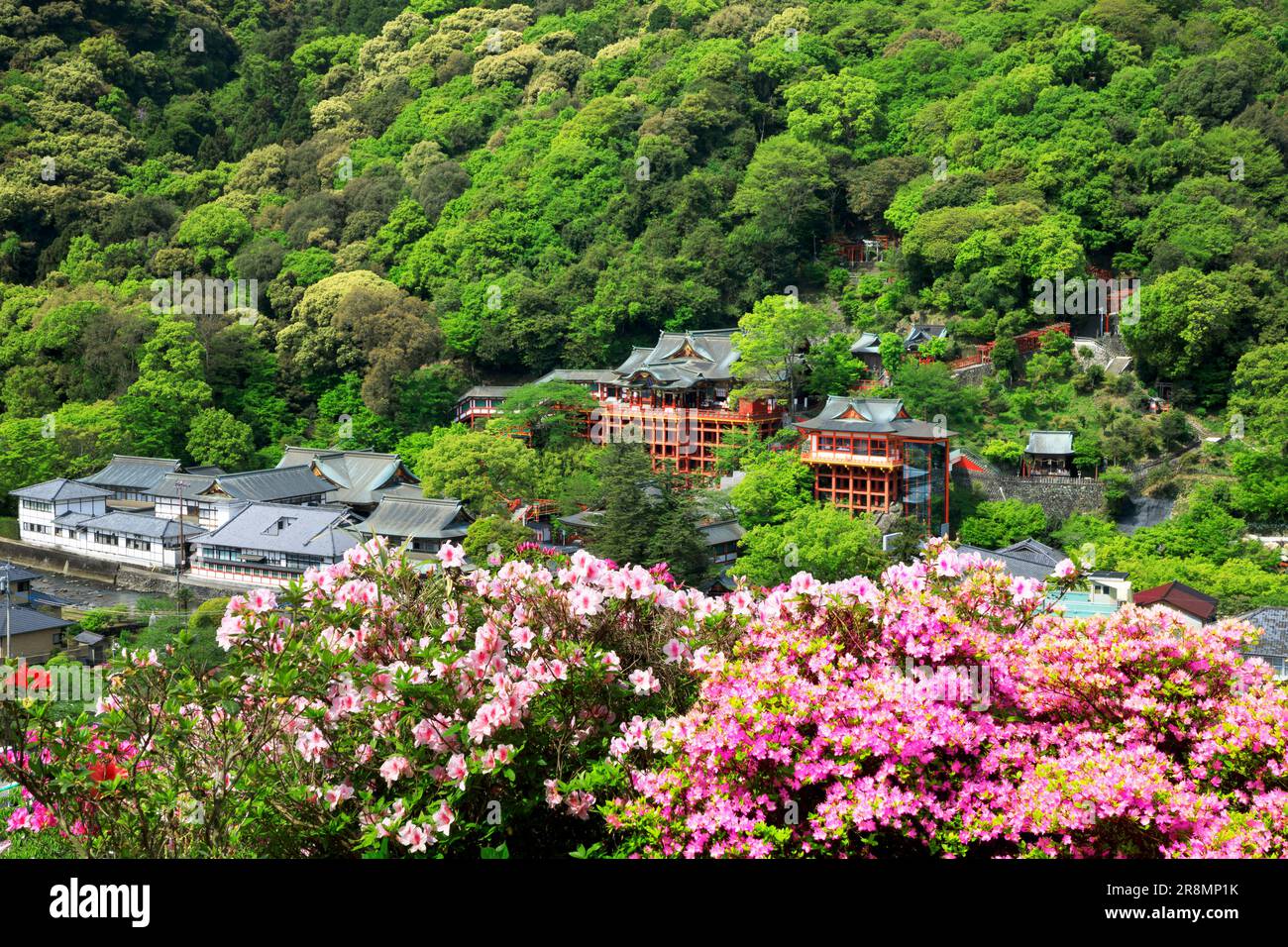 Yutoku Inari Shrine Stock Photo - Alamy